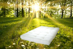 Les avantages du futon : confort, santé et durabilité - Futon Élite